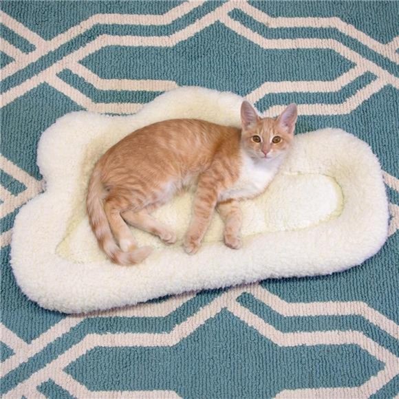 Cat | Kitty City Cat Bed Cat House Bedsofa Bed Cat Rope Bed | Poshmark